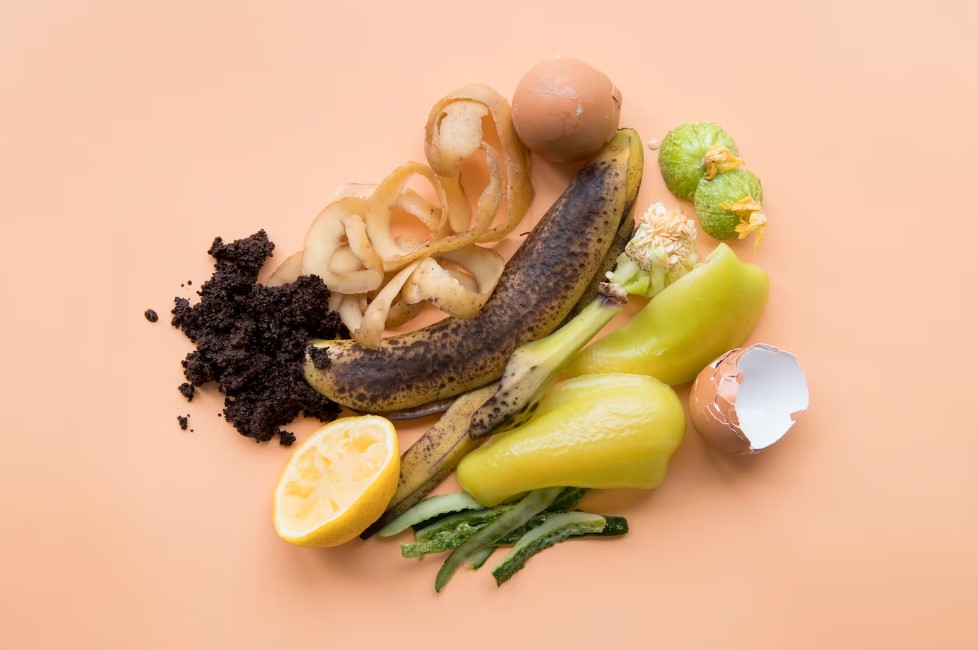 Qué es la basura orgánica y cómo disponer de ella