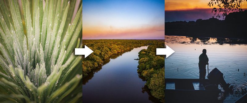 Así de sorprendente es la Biodiversidad de Venezuela